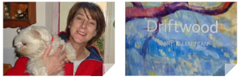 Debut collection of poems by Galway-born poet, Mary Ellen Fean – The ...