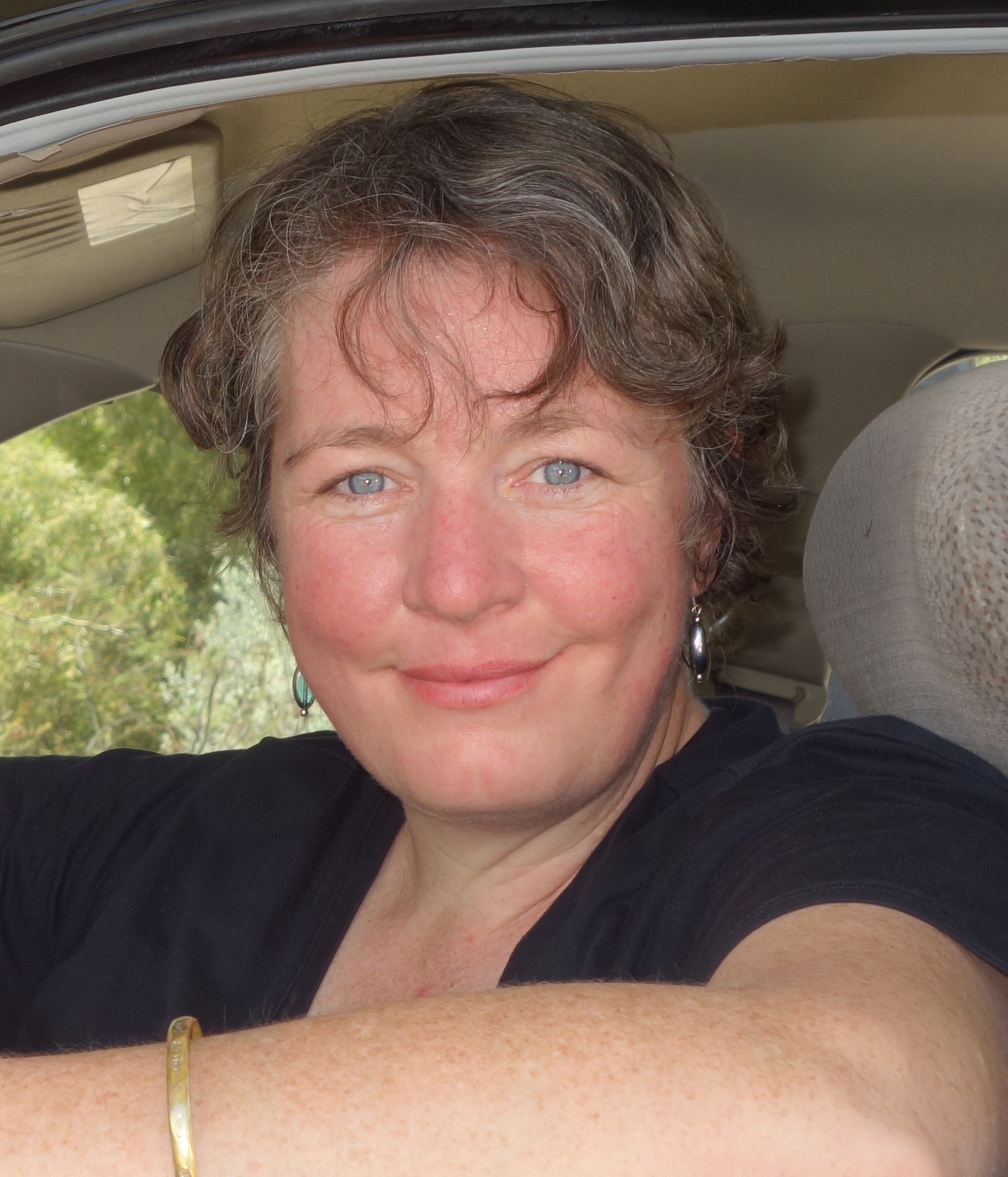 Alice Hatcher – Last Journey to the Sea – The Galway Review