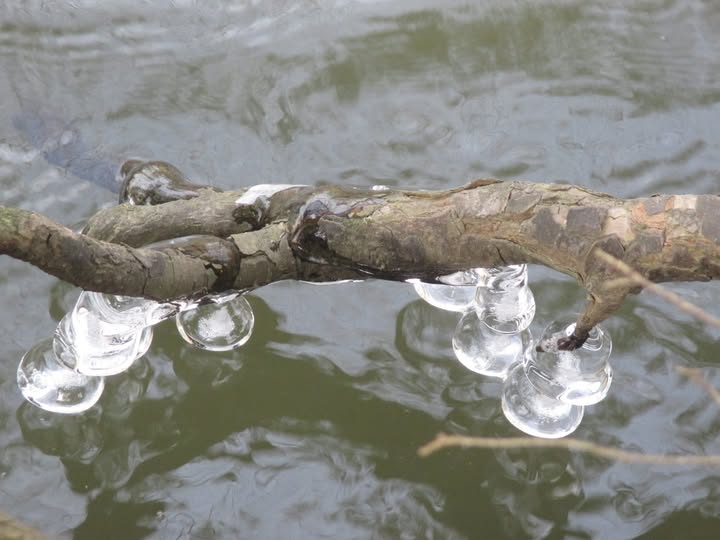 Susan Isla Tepper & Jamie Cat Callan – WITHOUT WARNING – The Galway Review