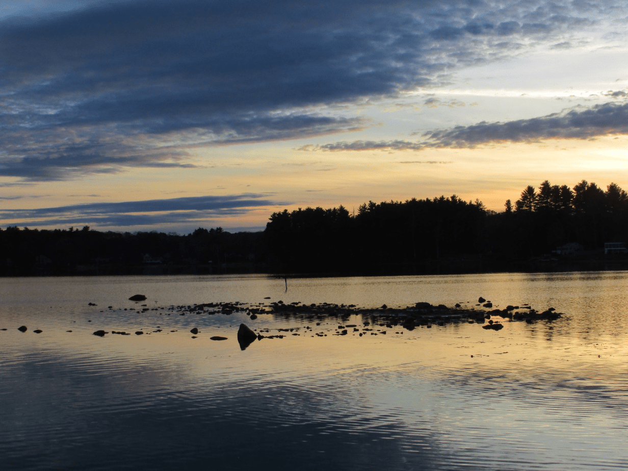 Susan Isla Tepper & Keith Pearson – ADMIT – The Galway Review